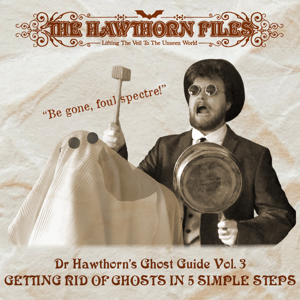Getting Rid Of Ghosts In 5 Simple Steps: Dr Hawthorn’s Ghost Guide Vol ...
