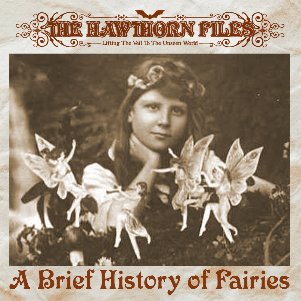 A Brief History of Fairies – The Hawthorn Files
