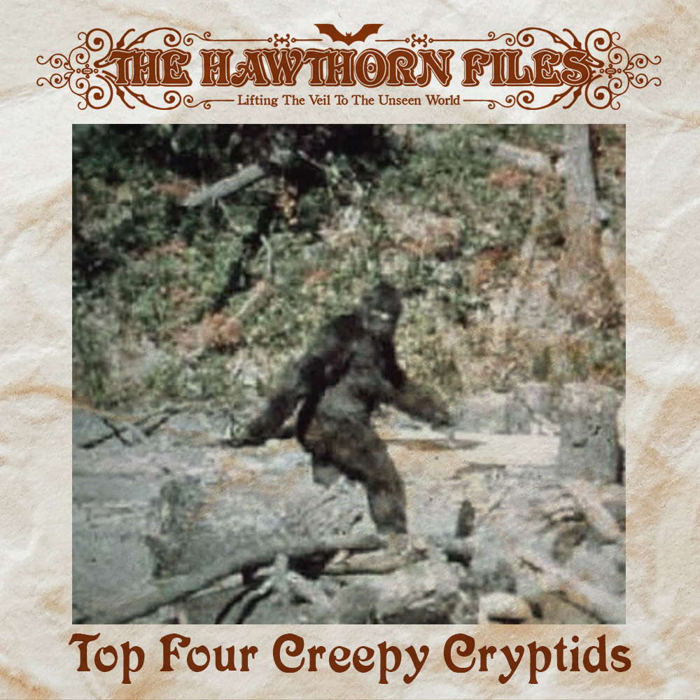 Top 4 Creepy Cryptids – The Hawthorn Files