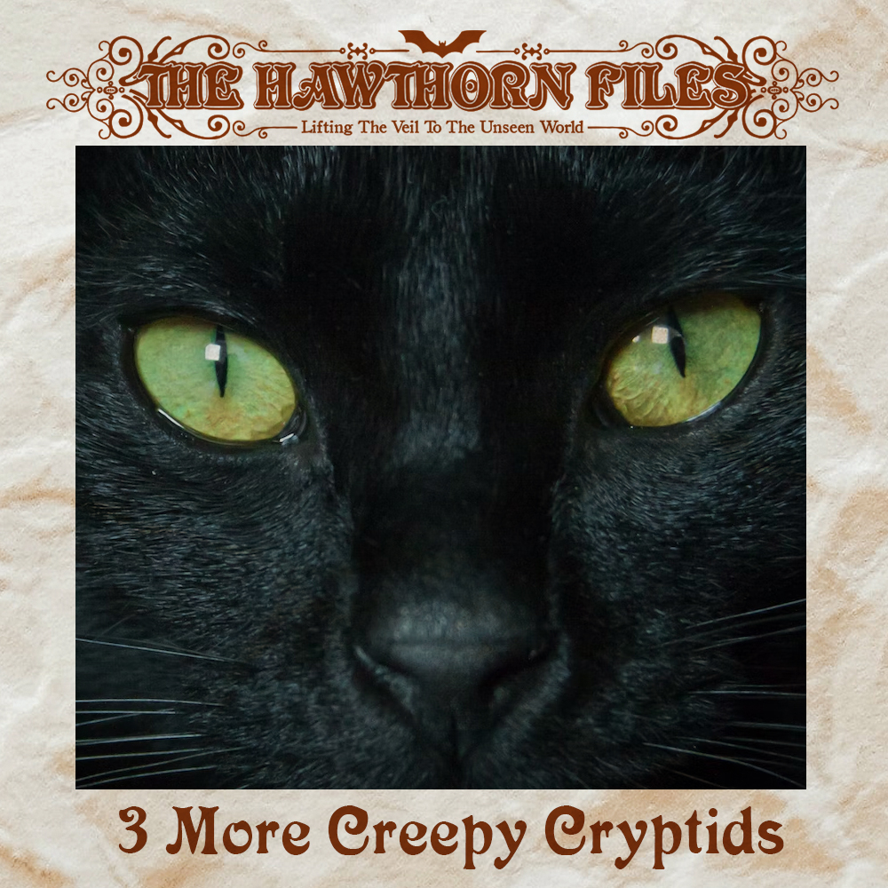 3 More Creepy Cryptids – The Hawthorn Files