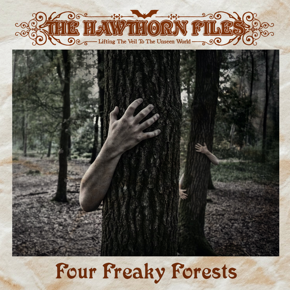 Four Freaky Forests – The Hawthorn Files