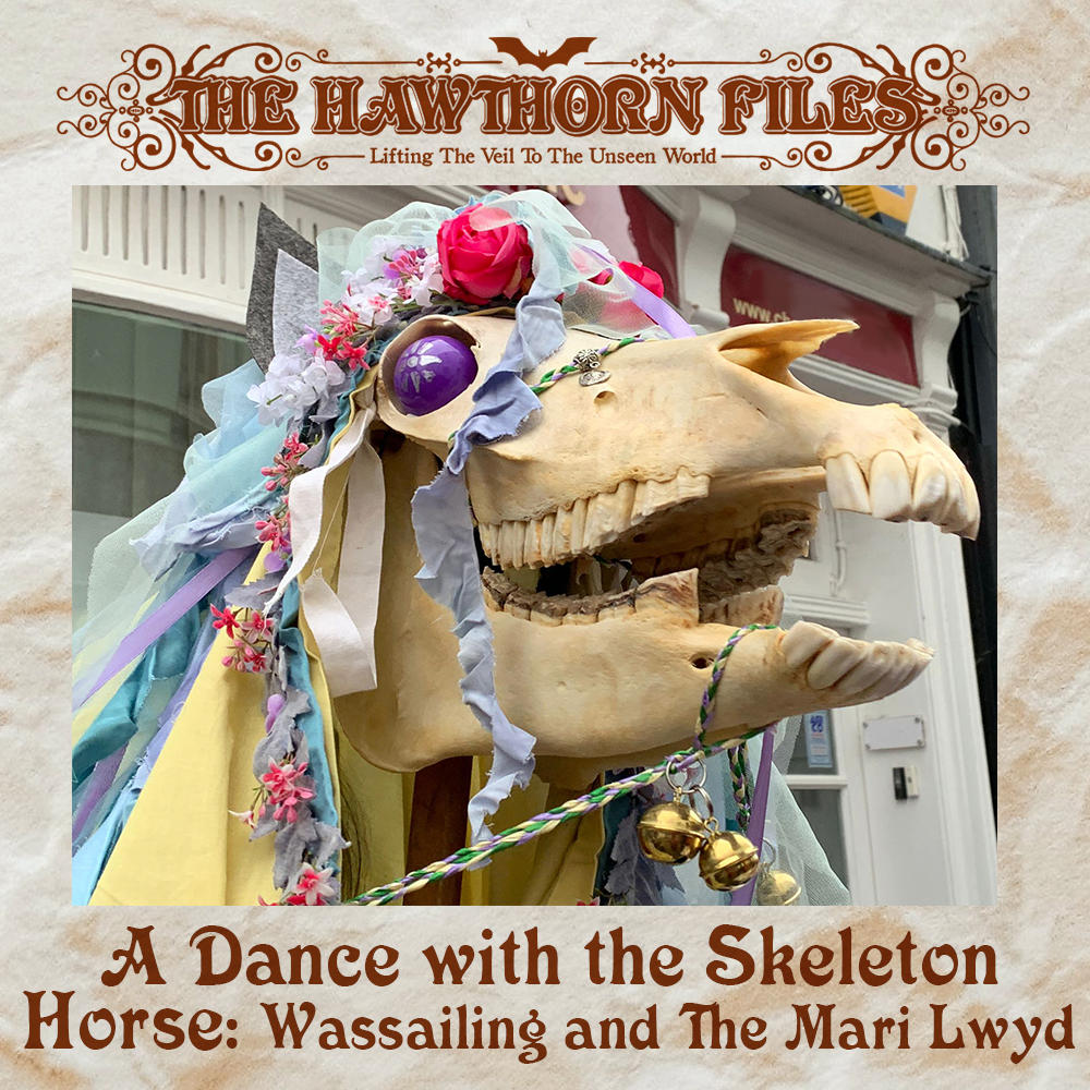 A Dance with the Skeleton Horse: Wassailing and The Mari Lwyd – The ...